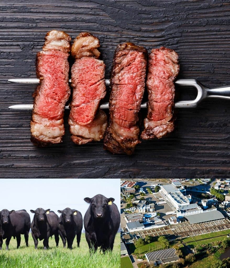 Ecocarnes Web Design - Imaginity