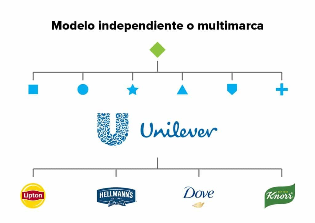 Imaginity - Proceso de Diseño: Arquitectura de Marca