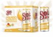 Sol Mix Beer | Packaging Design | Imaginity